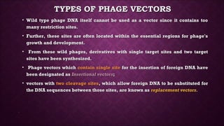 Vectors bacteriophages | PPT