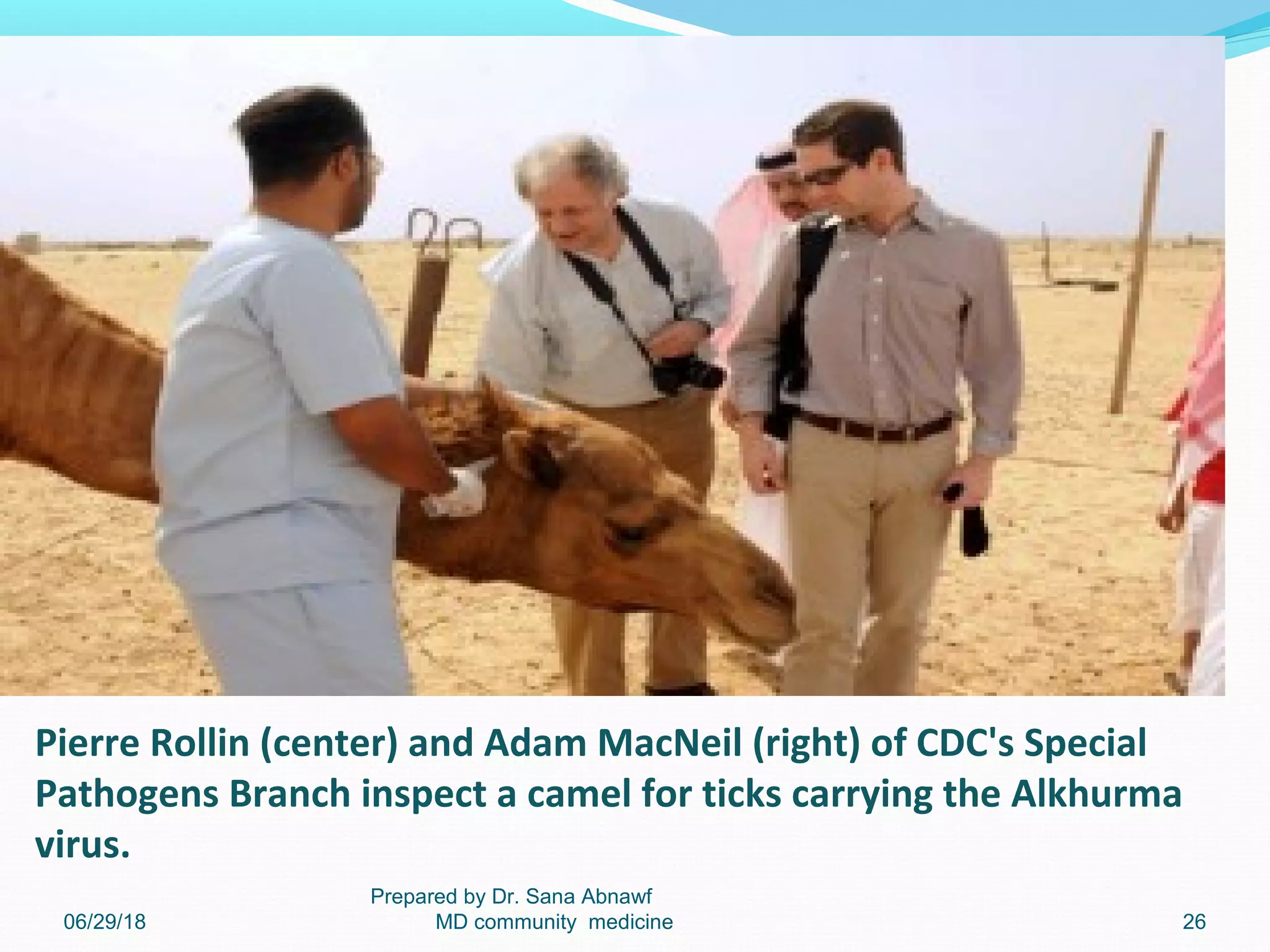 Vectors borne diseases 1 | PPT