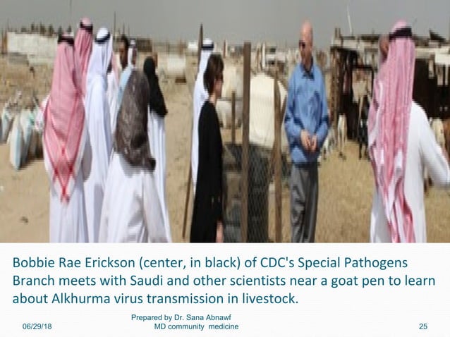 Vectors borne diseases 1 | PPT