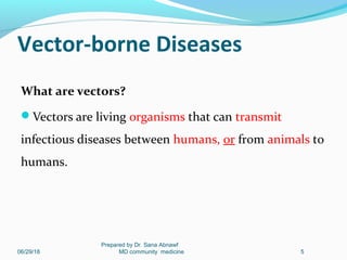 Vectors borne diseases 1 | PPT