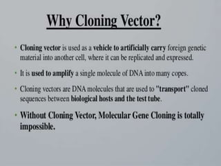 Vectors for gene cloning | PPTX