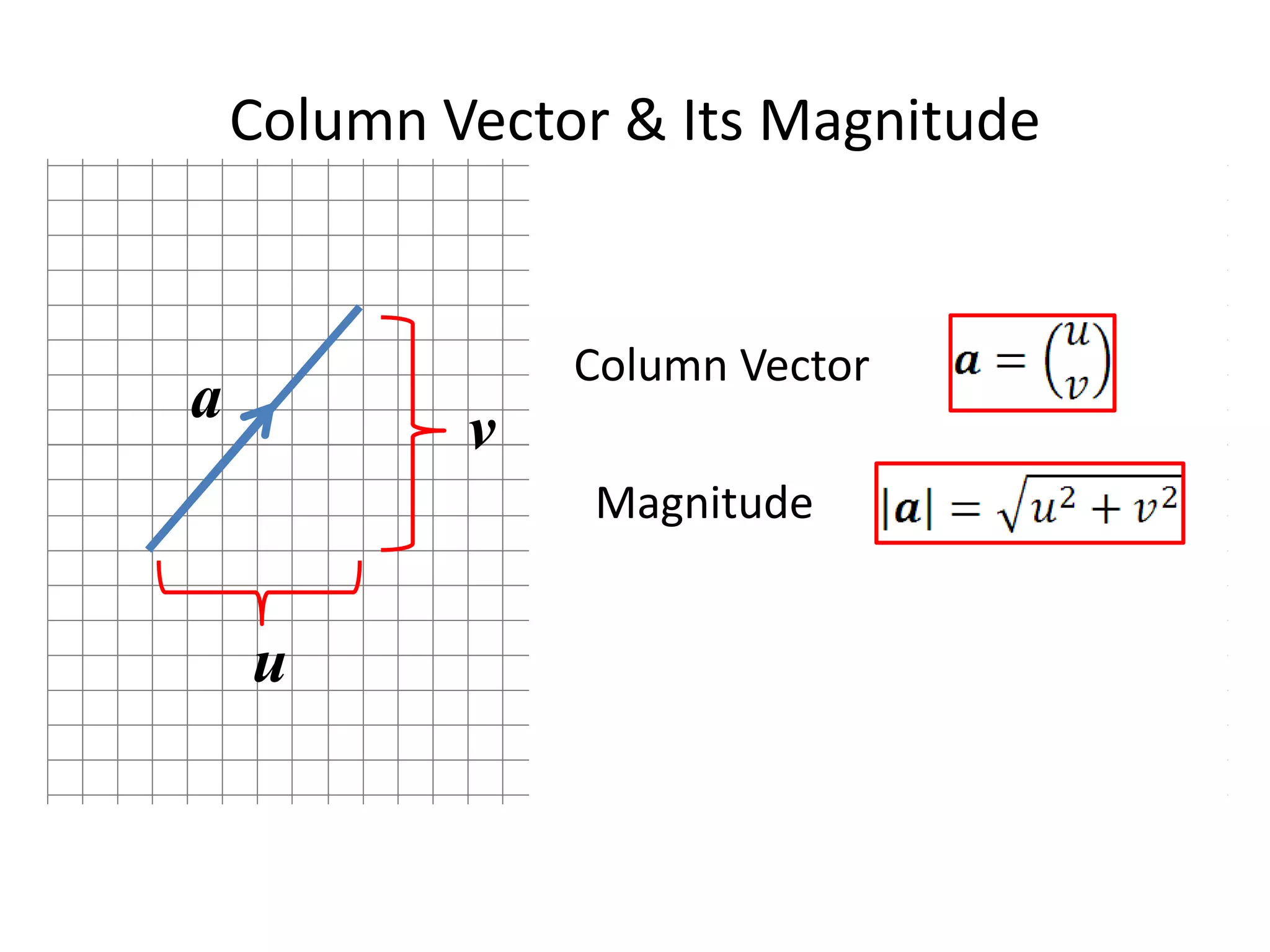Vectors in 2 Dimensions | PPTX
