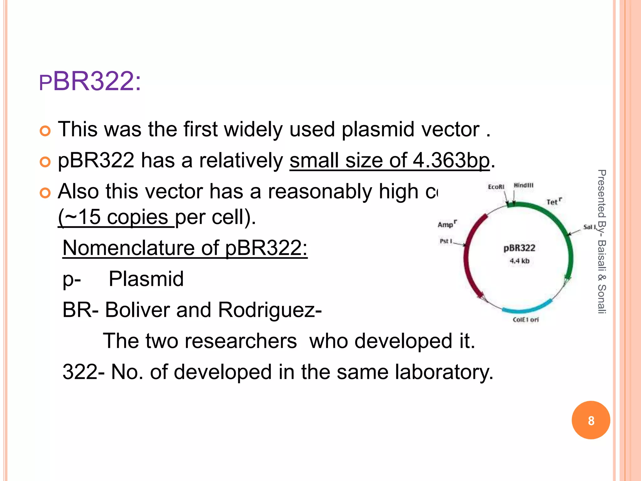 Vectors in biotechnolgy | PPSX