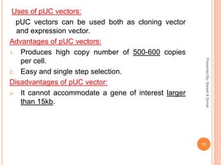 Vectors in biotechnolgy | PPSX