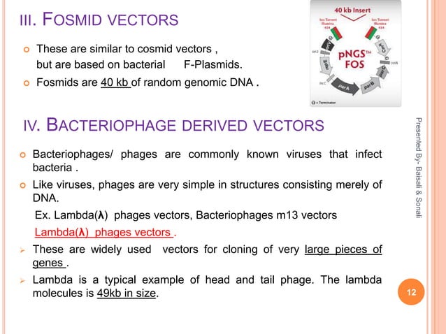 Vectors in biotechnolgy | PPSX | Biological Sciences | Science