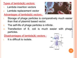 Vectors in biotechnolgy | PPSX