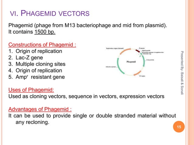 Vectors in biotechnolgy | PPSX | Biological Sciences | Science