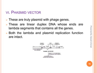 Vectors in biotechnolgy | PPSX