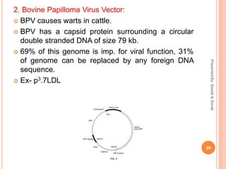 Vectors in biotechnolgy | PPSX