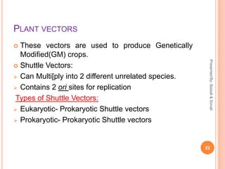 Vectors in biotechnolgy | PPSX