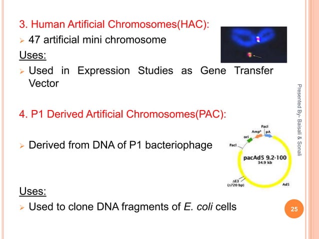 Vectors in biotechnolgy | PPSX | Biological Sciences | Science