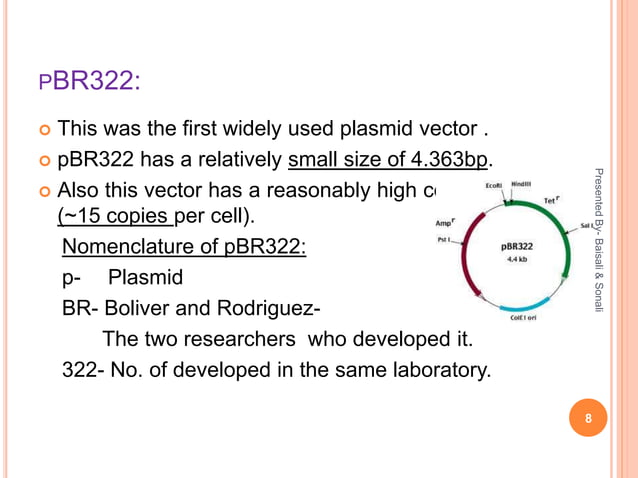 Vectors in biotechnolgy | PPSX | Biological Sciences | Science
