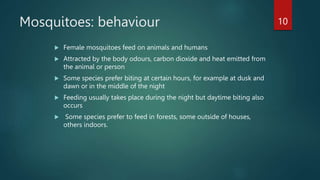 Vectors mosquites of Human Parasite.pptx