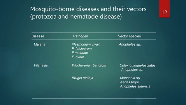 Vectors mosquites of Human Parasite.pptx