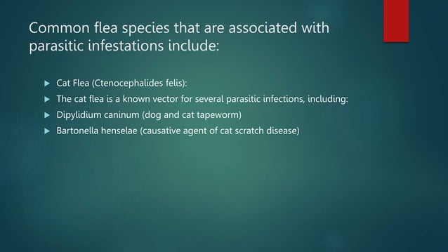 Vectors mosquites of Human Parasite.pptx