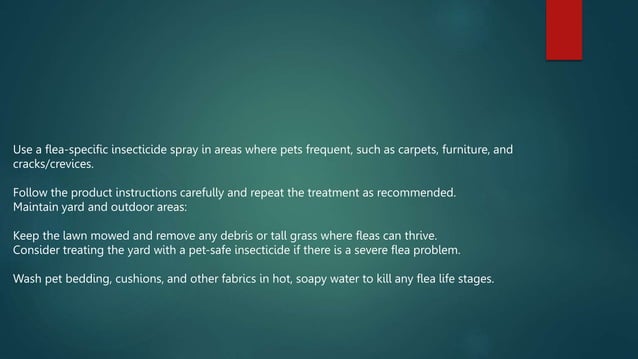 Vectors mosquites of Human Parasite.pptx