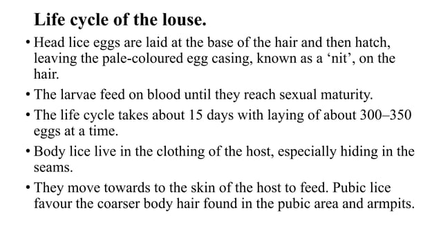 VECTORS OF PUBLIC HEALTH IMPORTANCE.pptx