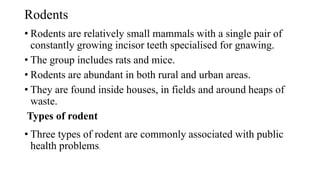 VECTORS OF PUBLIC HEALTH IMPORTANCE.pptx