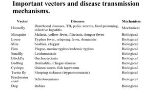 VECTORS OF PUBLIC HEALTH IMPORTANCE.pptx