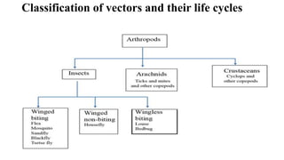 VECTORS OF PUBLIC HEALTH IMPORTANCE.pptx