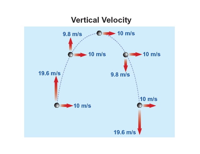 Vectors projectile motion | PDF | Physics | Science