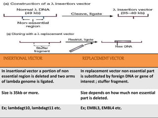 VECTORS INTRODUCTION | PPTX