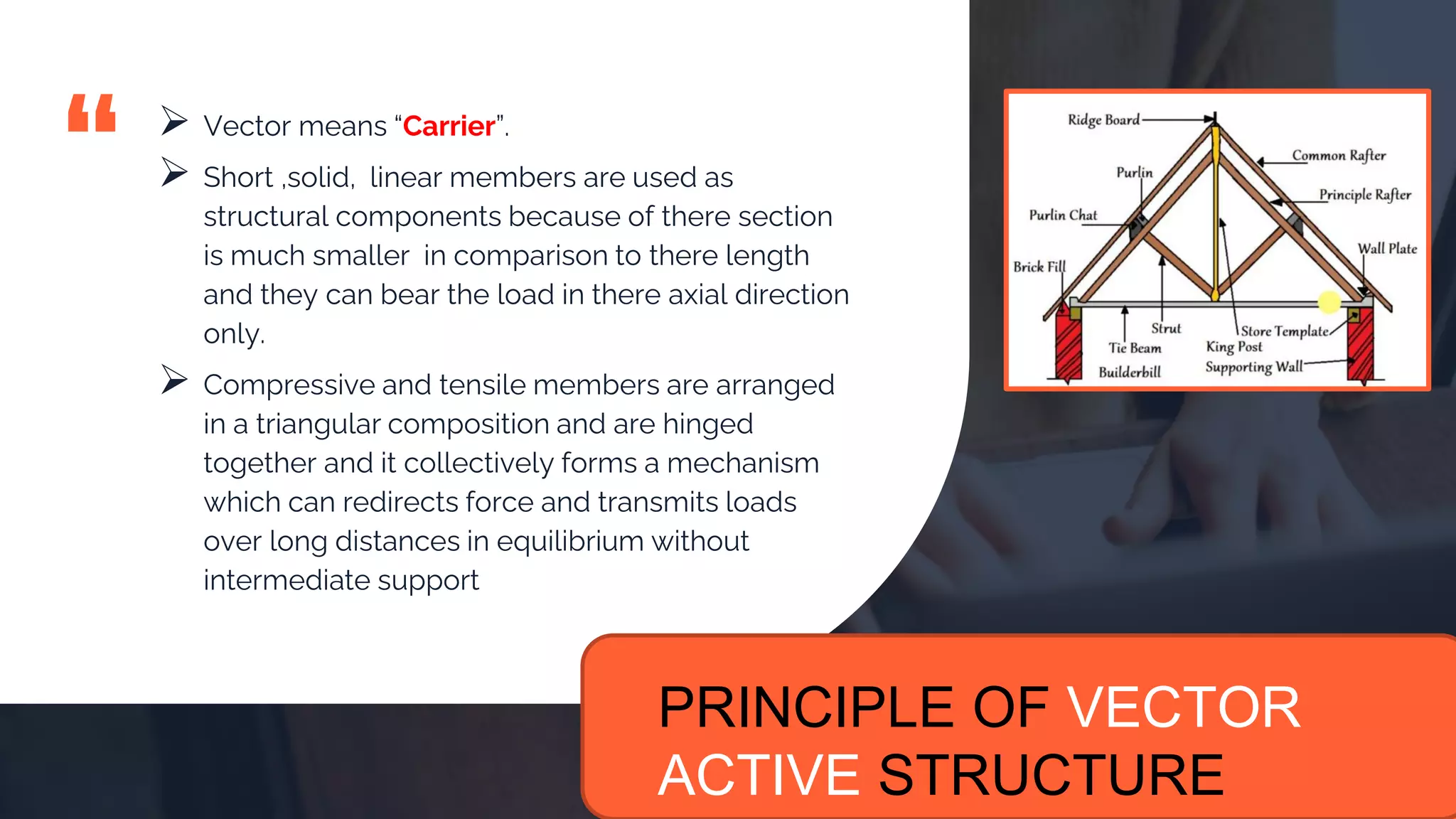 Vector Structure System.pdf