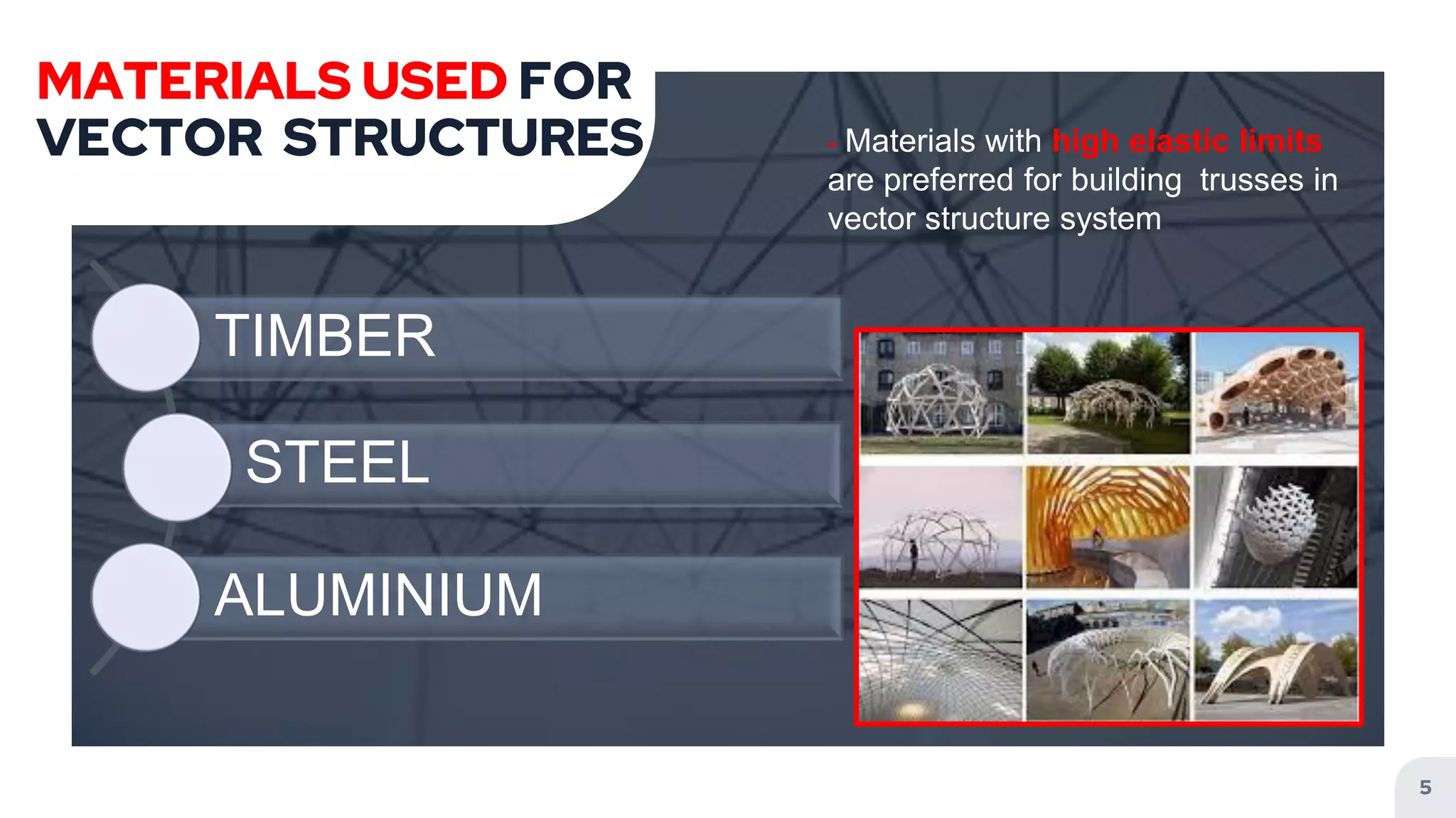 Vector Structure System.pdf