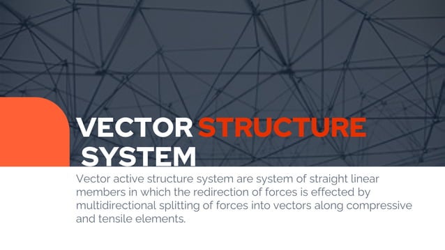 Vector Structure System.pdf