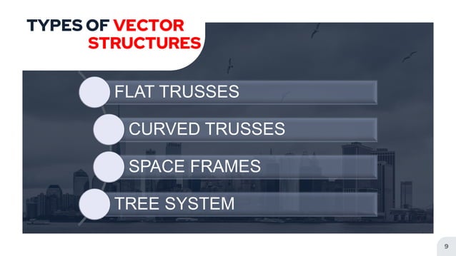 Vector Structure System.pdf