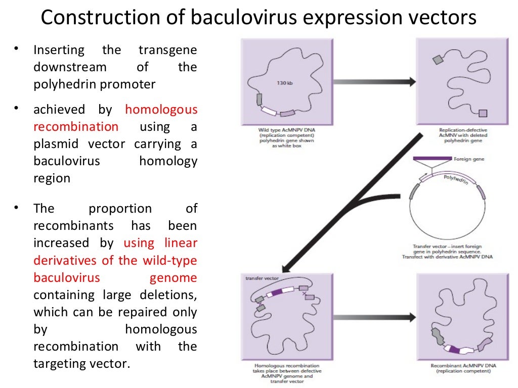 MICROBIAL BIOTECHNOLOGY