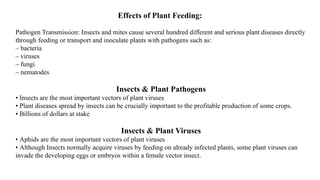Vector transmission of plant diseases.pptx