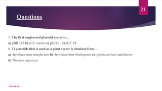 Vectors subjective assignment 2 | PPTX