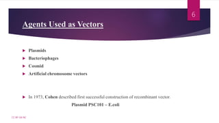 Vectors subjective assignment 2 | PPTX