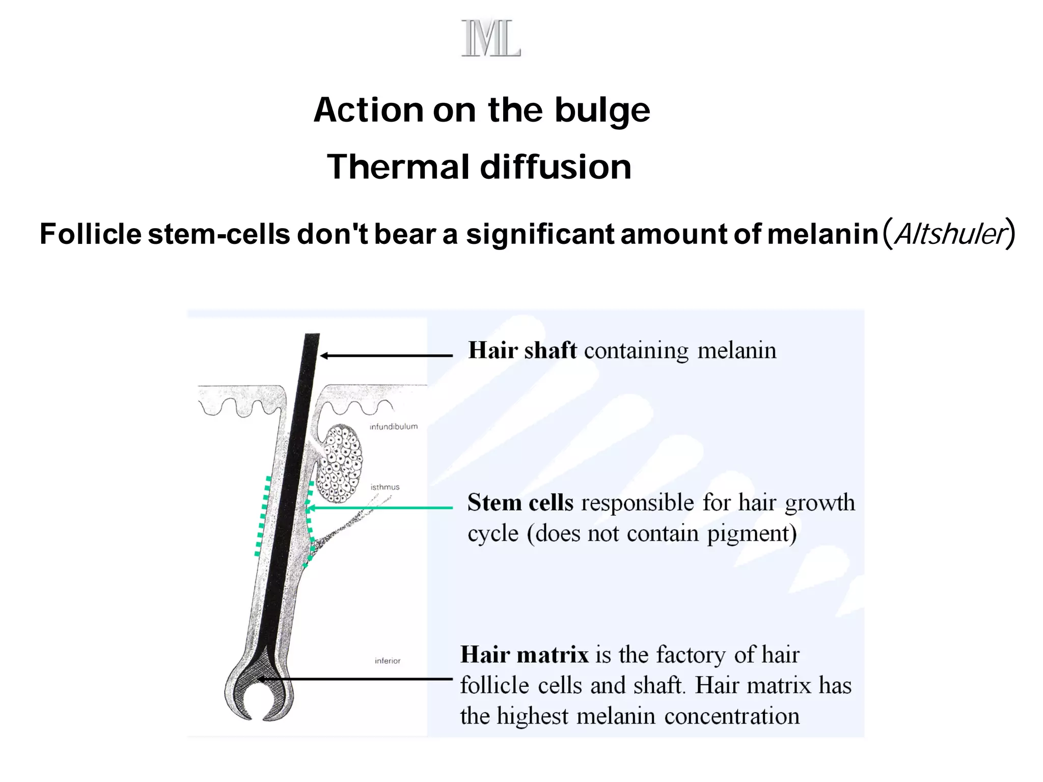 Vectus diode laser iml | PDF