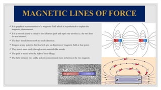 Magnetism | PPTX
