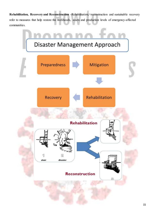 disaster management | PDF