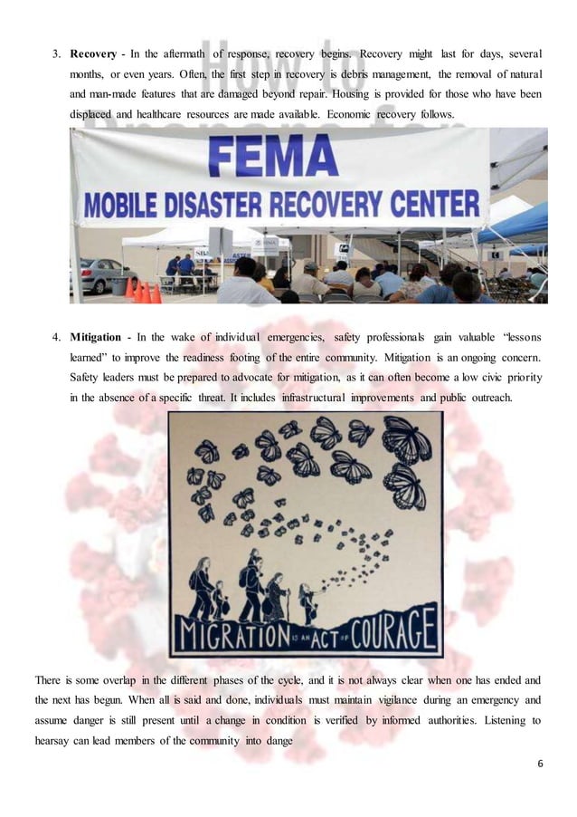 disaster management | PDF