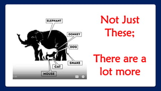 VEE Corporate Virtual Fun Activities Plan_May 2021_V2.0 | PPT
