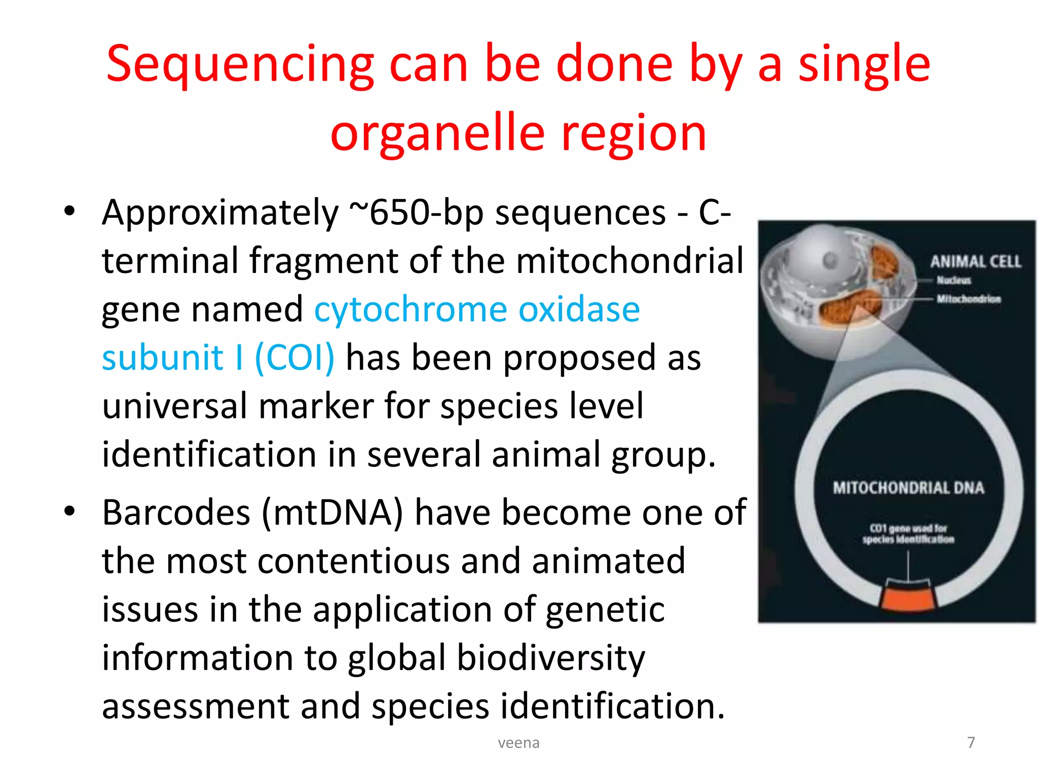 dna barcoding | PPTX