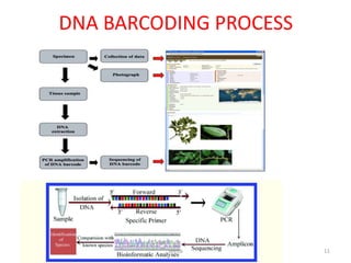 dna barcoding | PPTX | Genetics | Science
