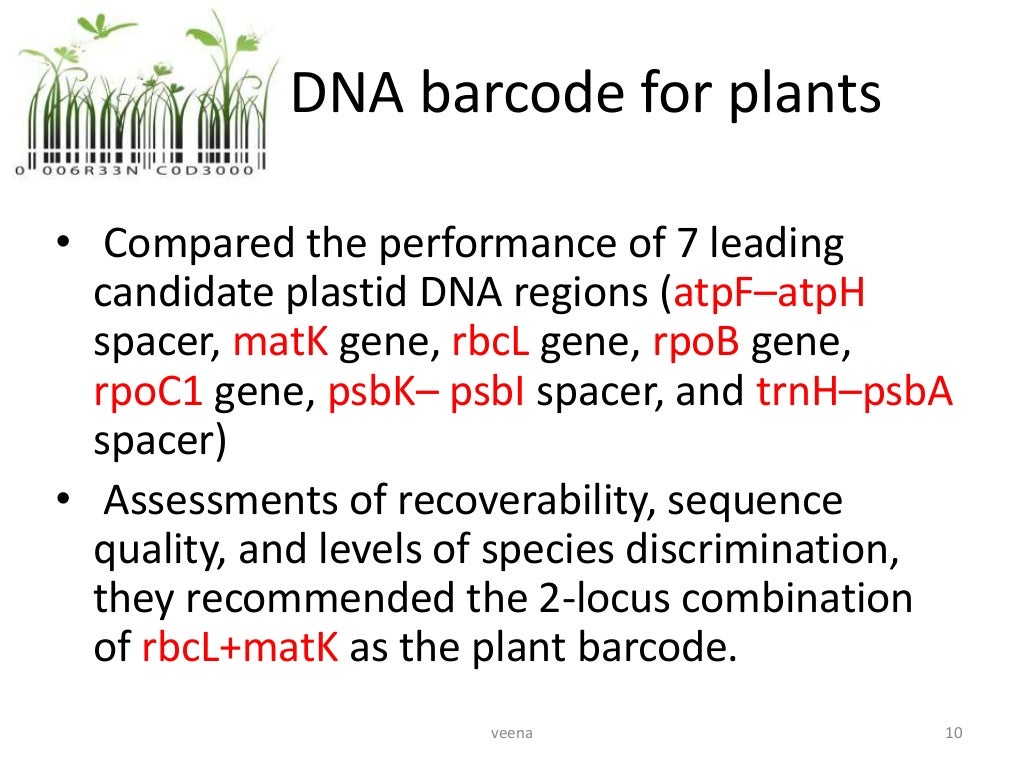 dna barcoding