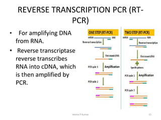 molecular microbiology | PPT