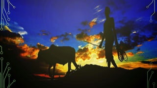 student ready programme 2022 -2023 RAWE. | PPT