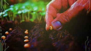 student ready programme 2022 -2023 RAWE. | PPT