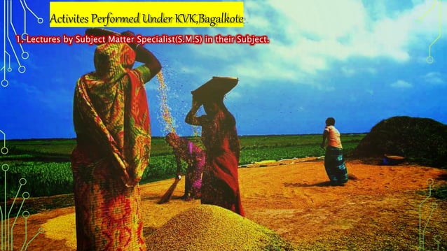 student ready programme 2022 -2023 RAWE. | PPT