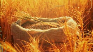 student ready programme 2022 -2023 RAWE. | PPT