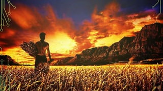 student ready programme 2022 -2023 RAWE. | PPT