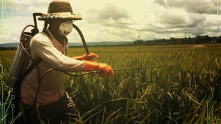 student ready programme 2022 -2023 RAWE. | PPT