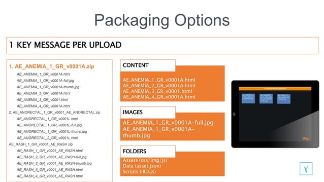 Veeva iREP Overview & Dev guide | PPTX